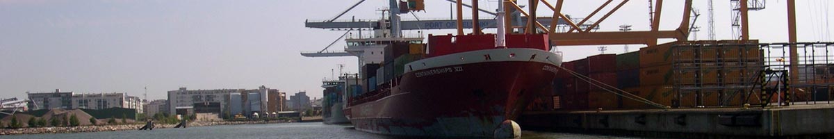 Fortunes de mer - MSC FLAMINIA 2012